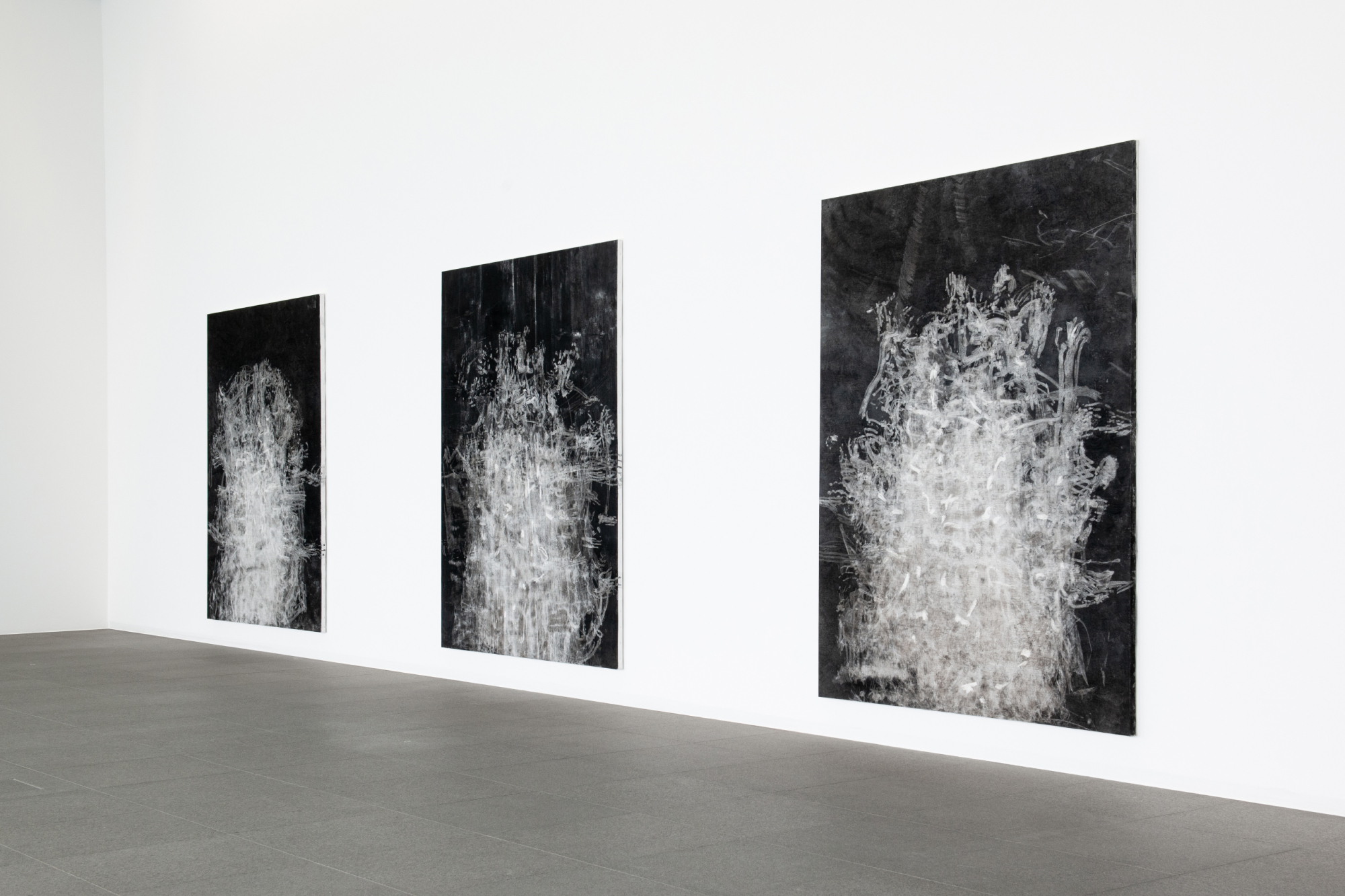 Angel Vergara | MACS